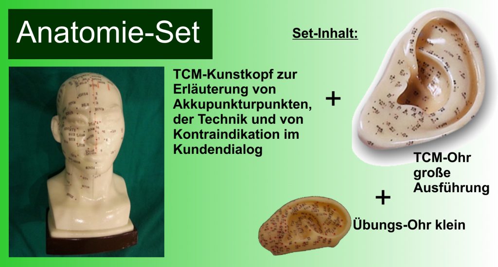 Set-Anatomie-TCM – Piercinginstrumente.de